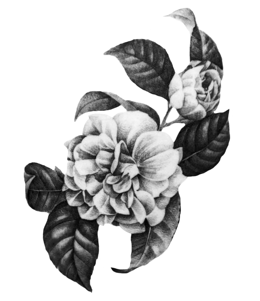 Co:Create Ink - Artists