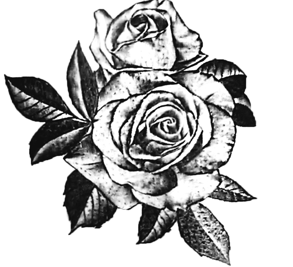 Co:Create Ink - Artists