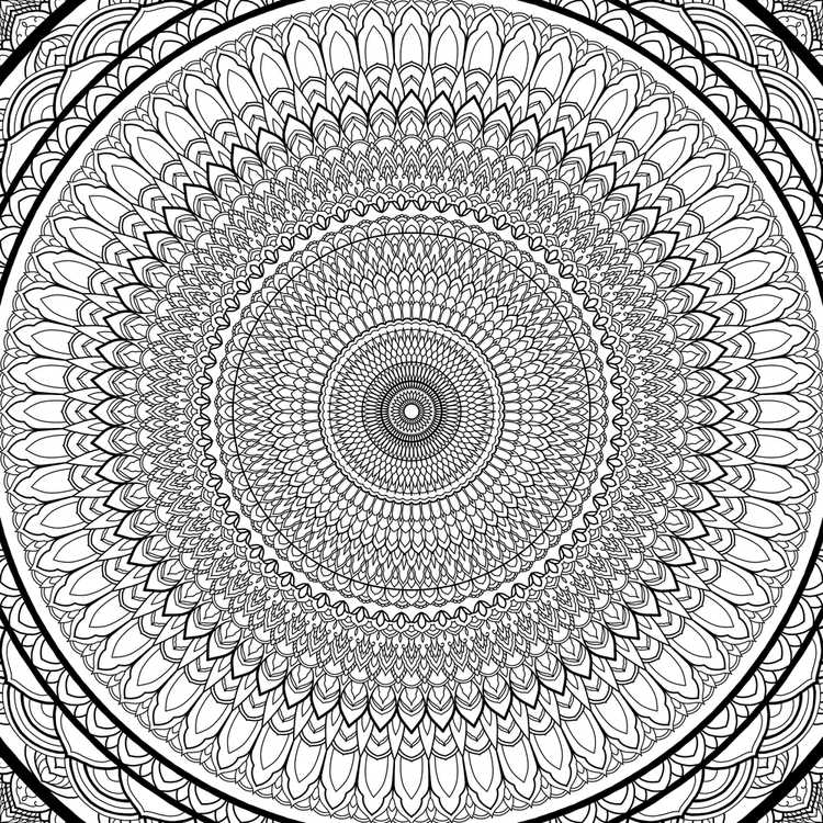 Dillon Forte | Tattoo Artist | CO:CREATE