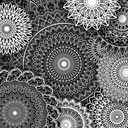 Co:Create - Dillon Forte