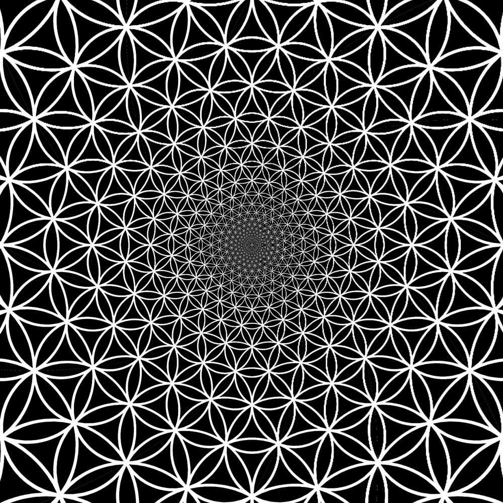 CO:CREATE - Flower of life by Dillon Forte