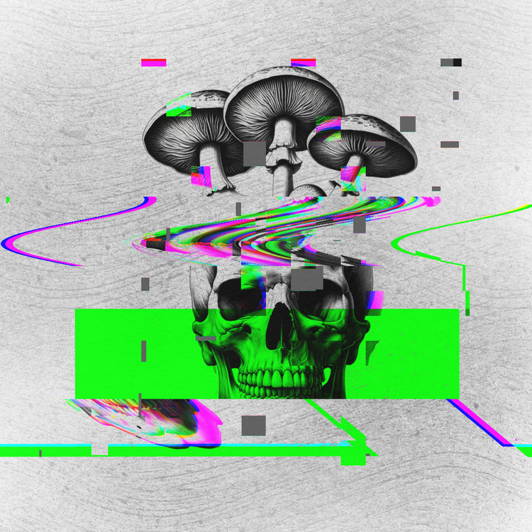 Co:Create - Dillon Forte