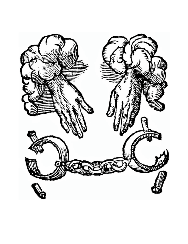 CO:CREATE - "Nec fas est, nec posse reor" By Claude Paradin by Zella Mäkelä