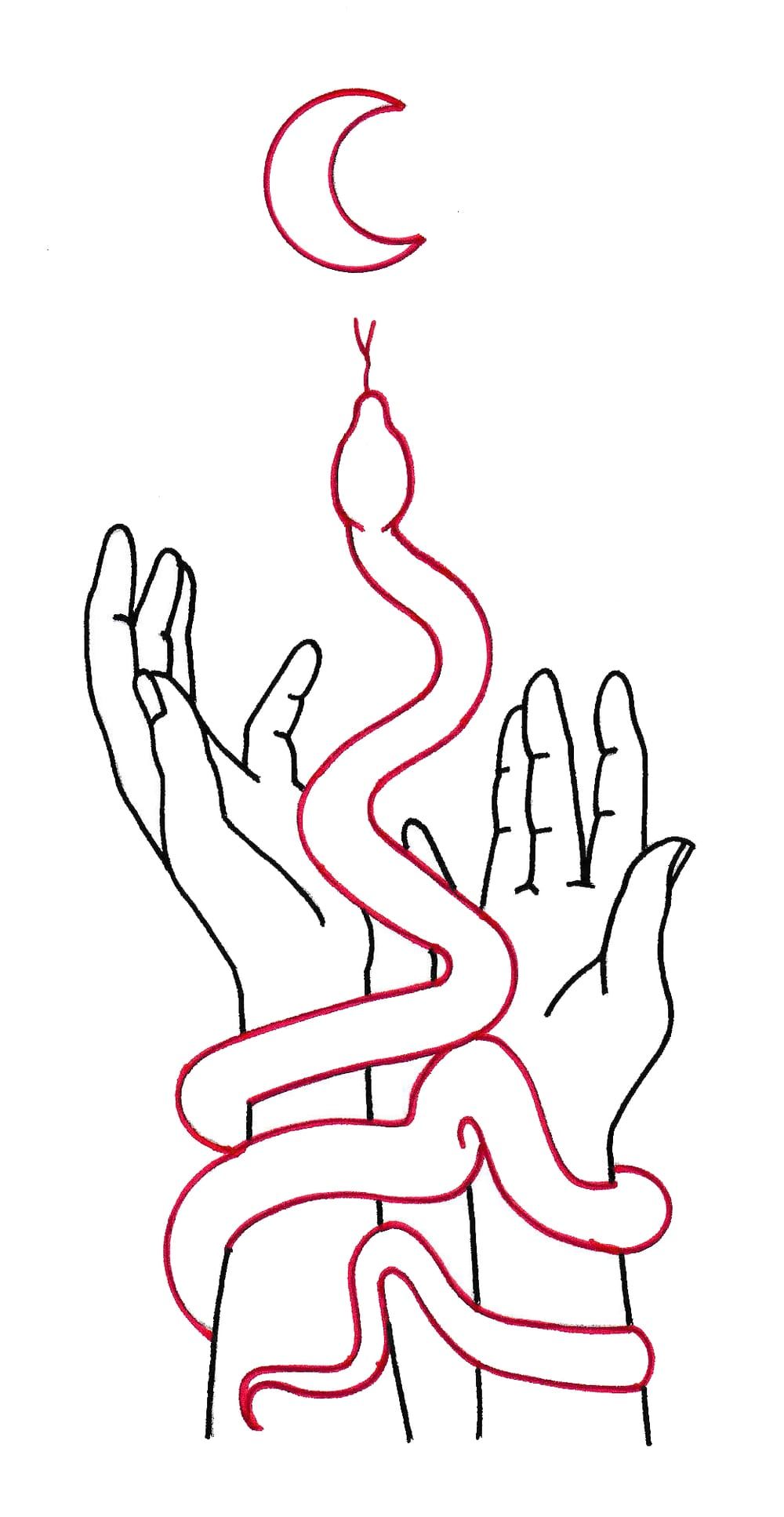 CO:CREATE - The Snake Collector by Curt Montgomery