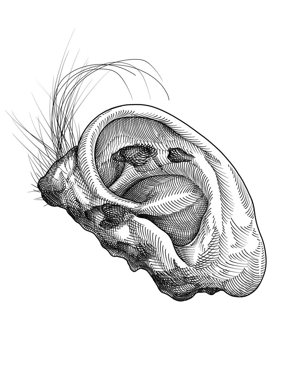 CO:CREATE - She Wore— by Landon Morgan