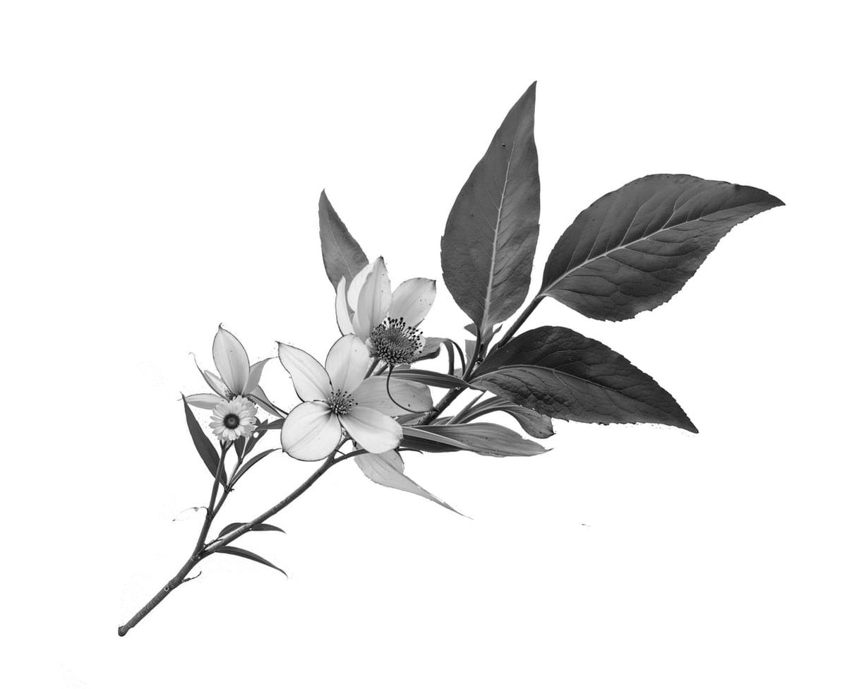 David Allen | Tattoo Artist | CO:CREATE